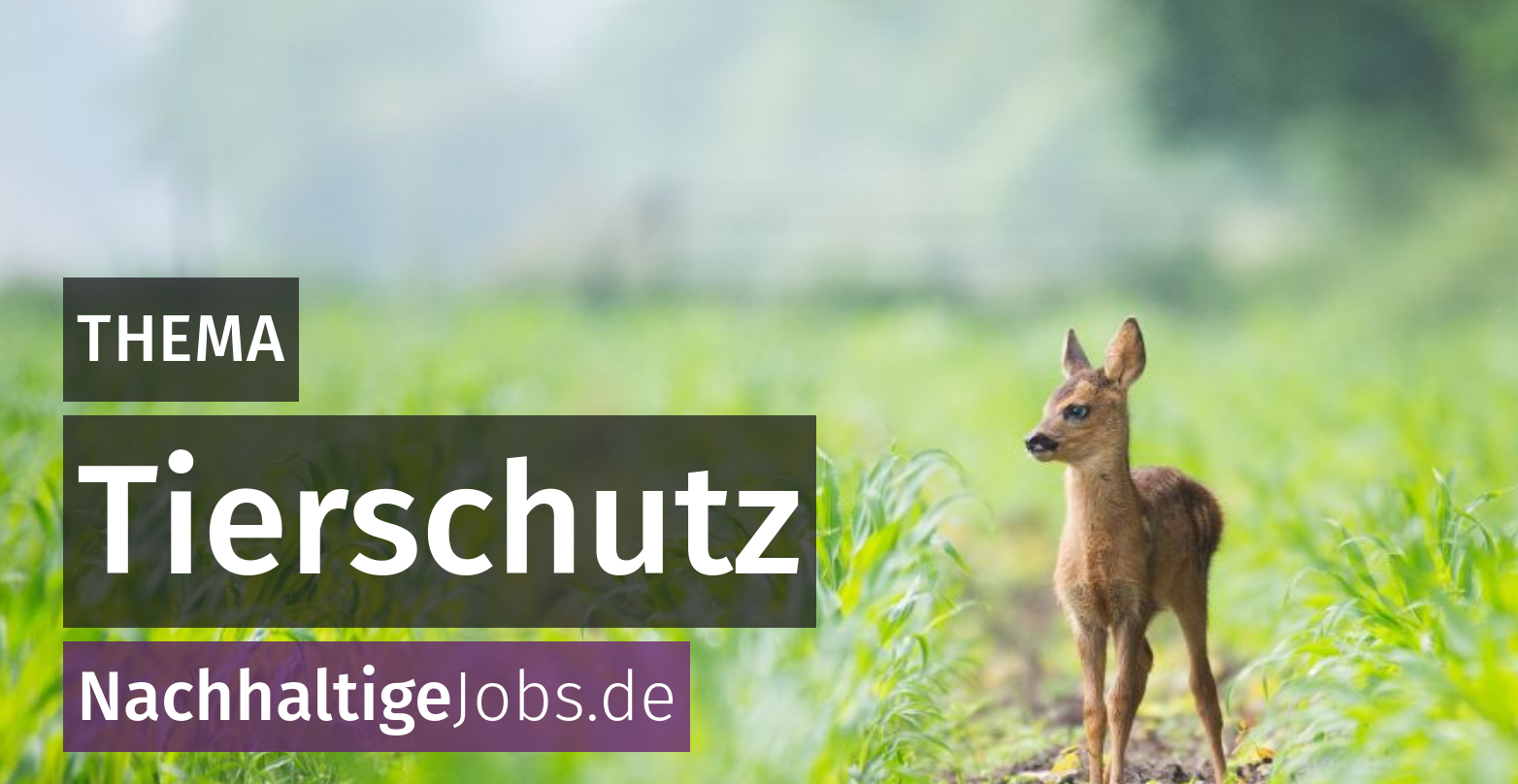 Tierschutz | NachhaltigeJobs